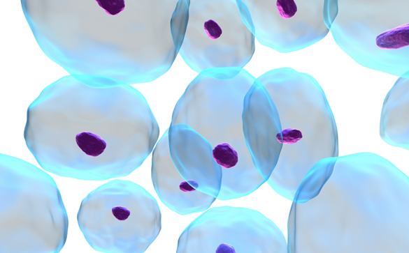 How to Tell if That Clump of Cells is Alive – THE STATESMAN